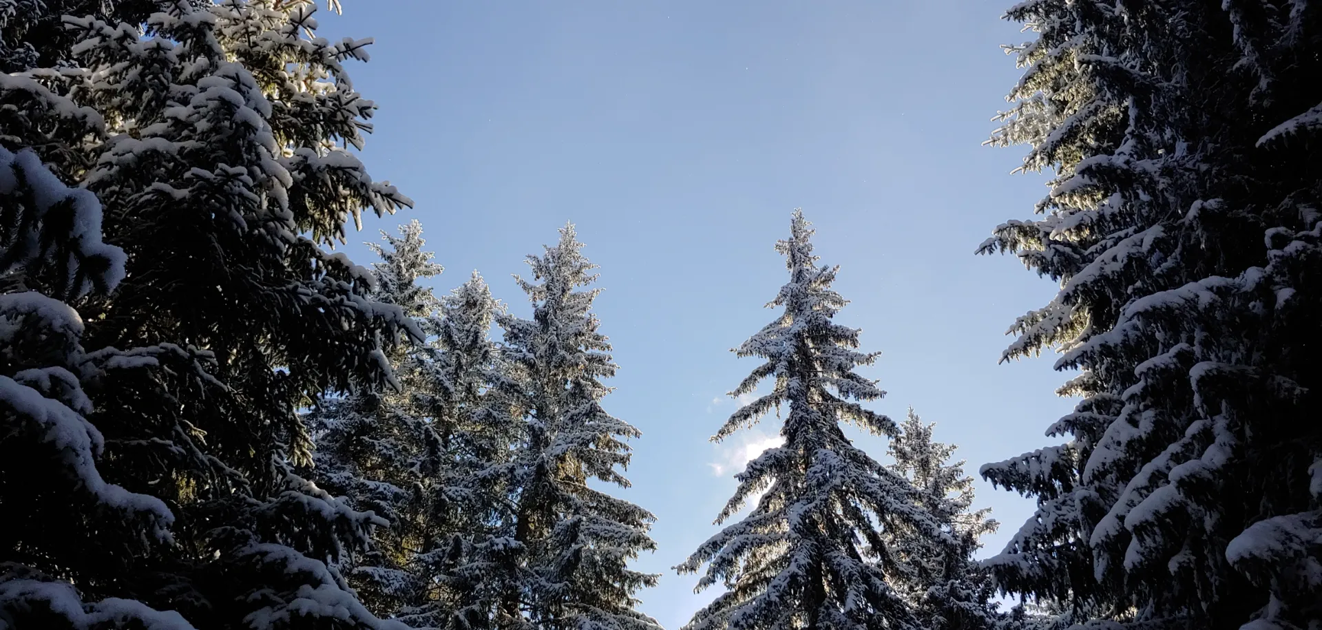 Save All Year With Timberland’s Christmas Club Program