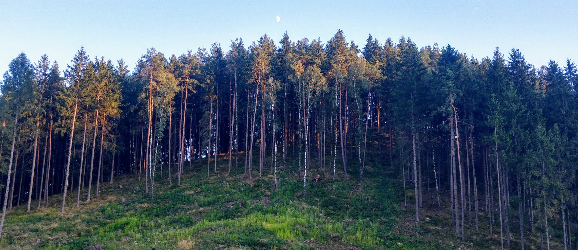 Digital Banking At Timberland Federal Credit Union